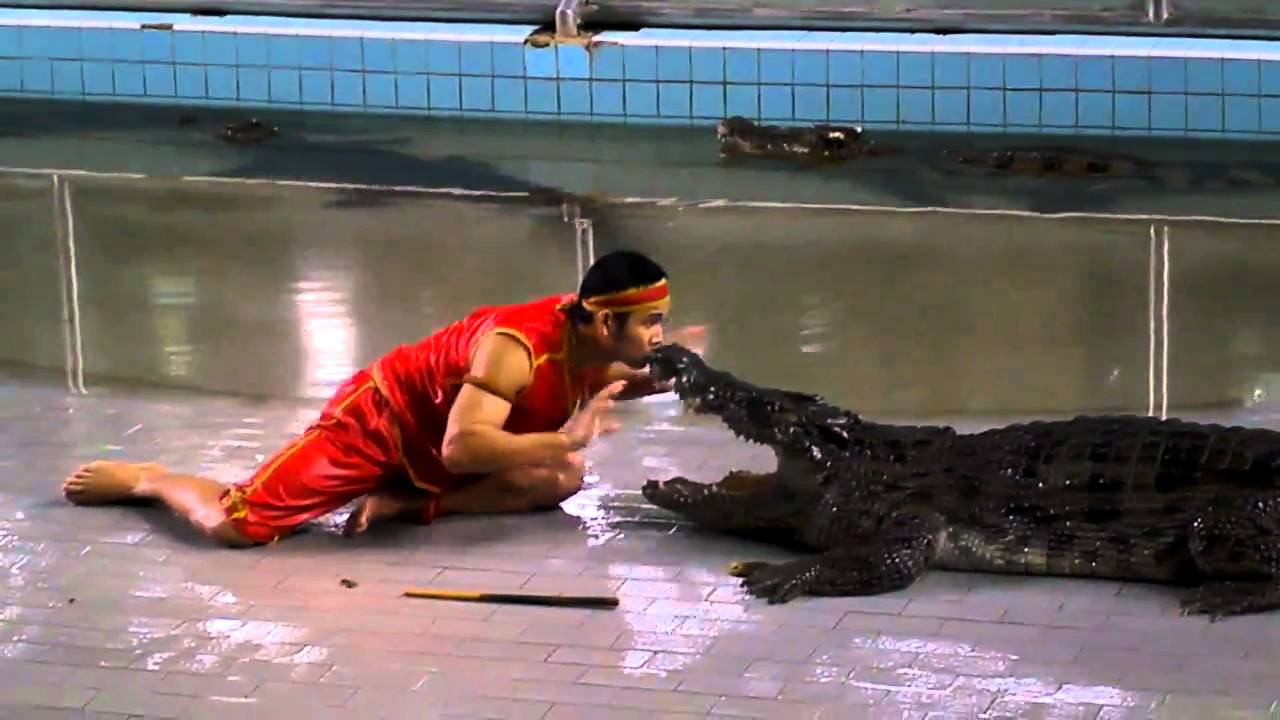 Insane Croc Dude Youtube