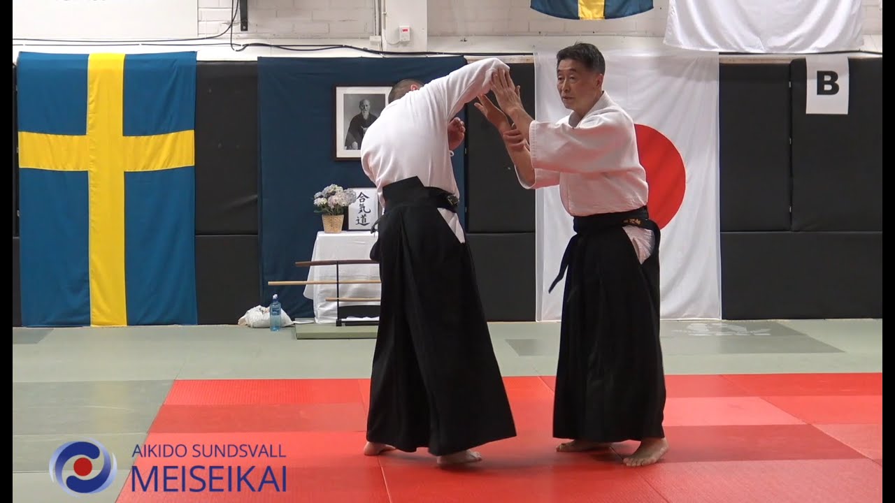 Aikido Ai Hanmi Kokyonage, Shishiya Sensei Sundsvall 2016 - YouTube
