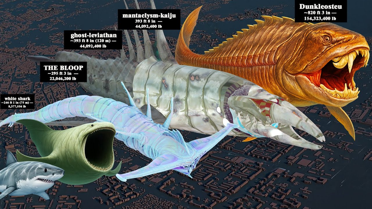 Sea Monster Size Comparison – You Won’t Believe How Huge They Are Who ...