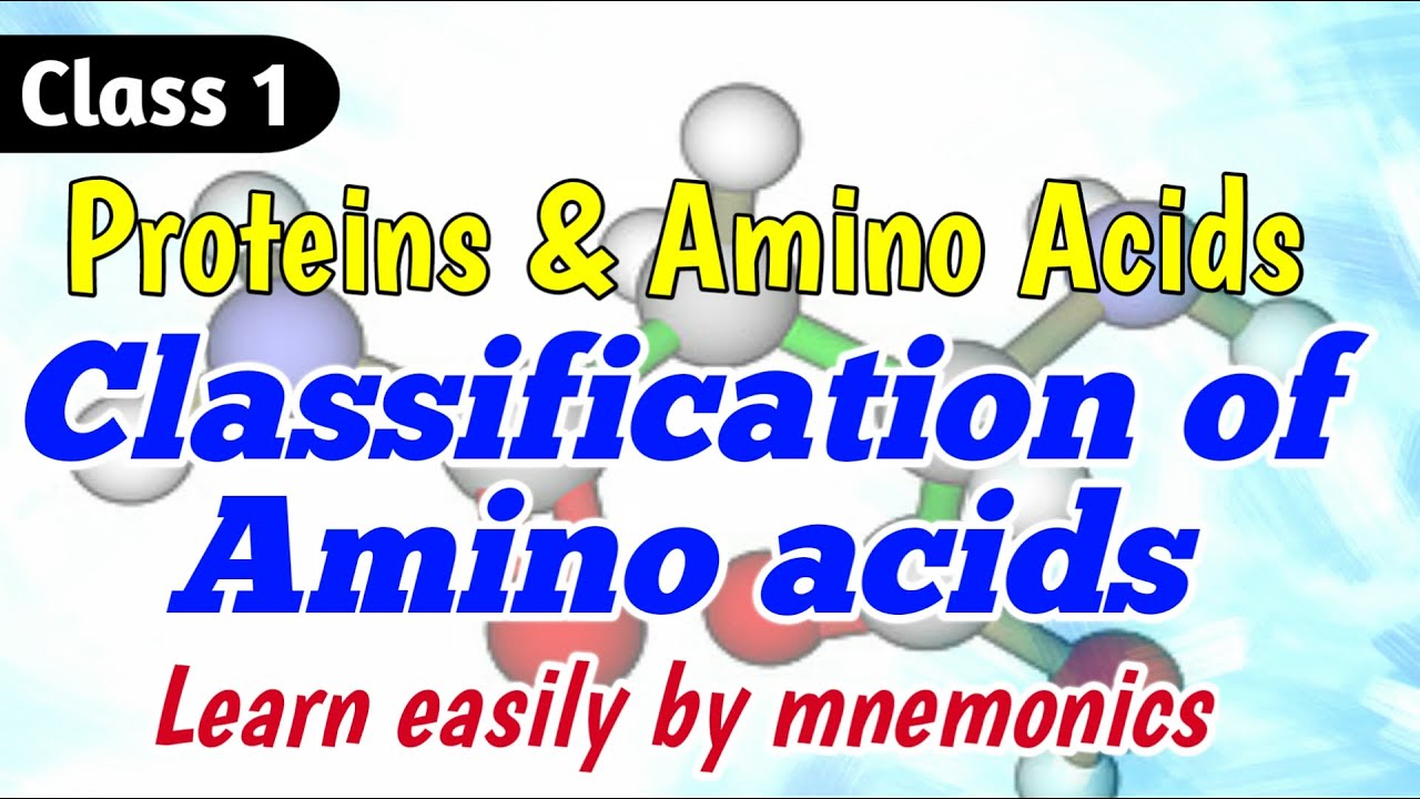 How to remember classification of amino acids | Amino acid ...