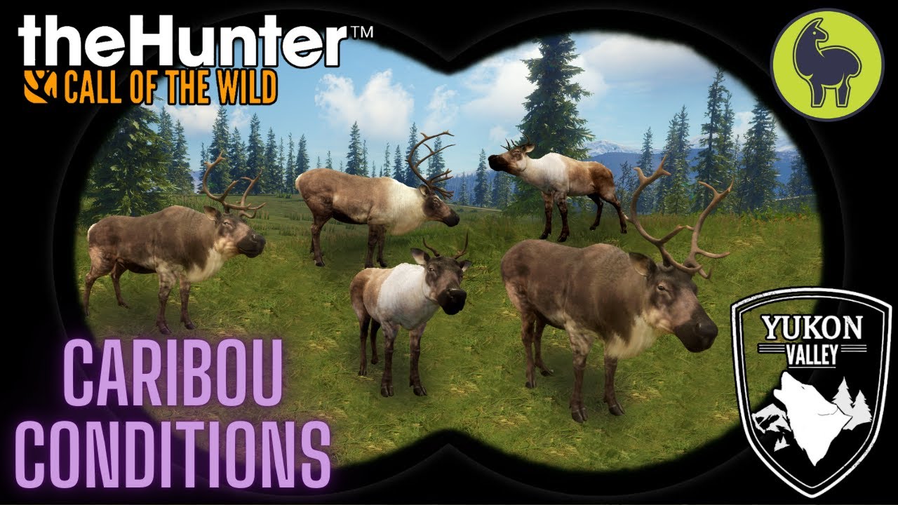 Caribou Conditions, Yukon Valley | theHunter: Call of the Wild (PS5 4K ...
