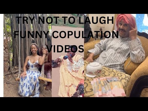 try not laugh complation of funny video
