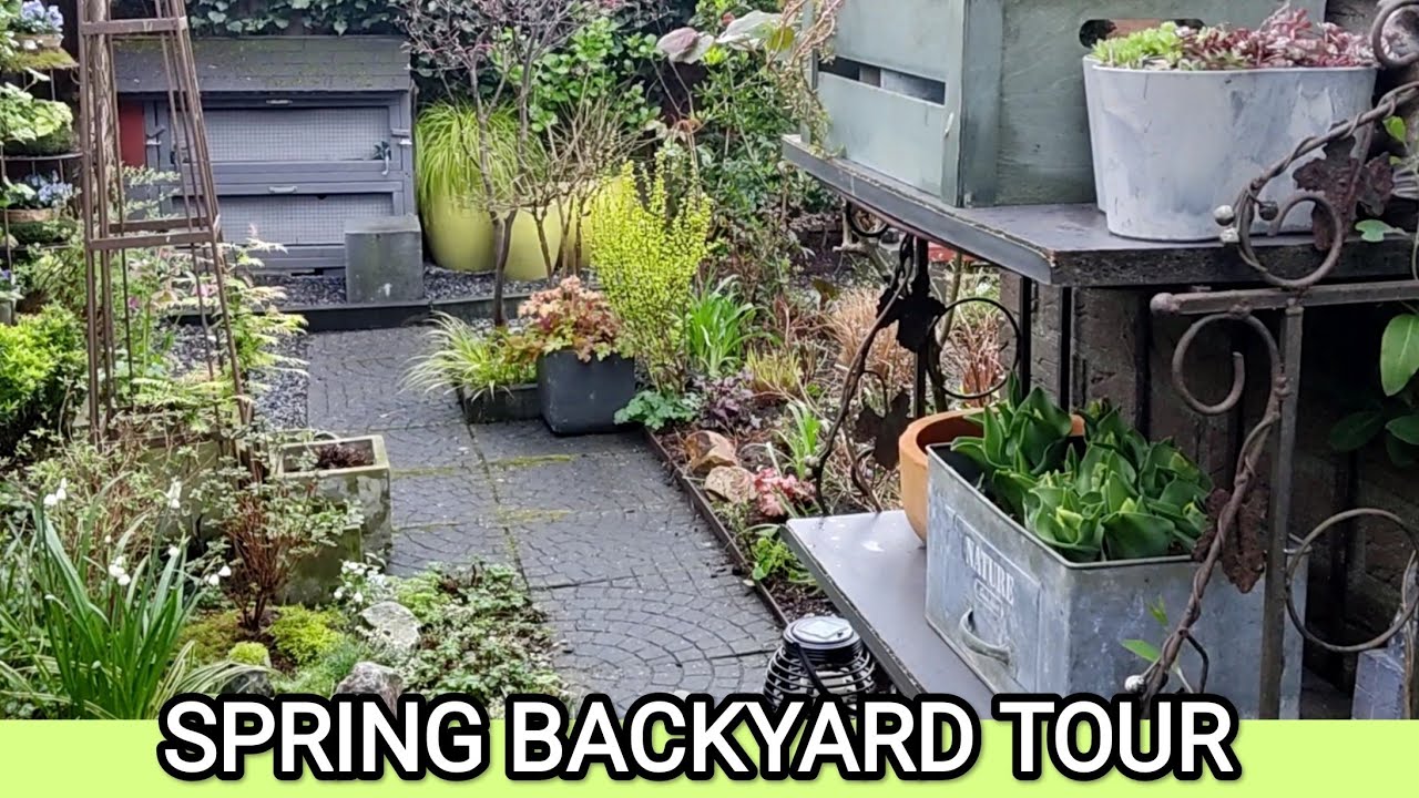 Spring Backyard Tour /Small Garden Ideas🪻🌿 - YouTube