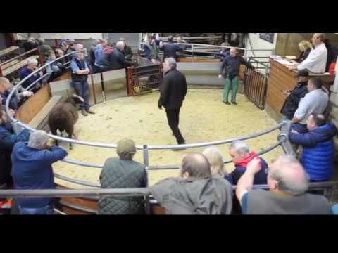 Bentham Auction Mart. 29th May 2019 - YouTube