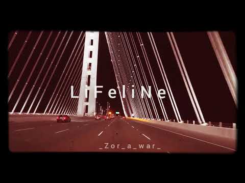 MER JATA H INSAN STATUS || INSTAGRAM , WHATSAPP || LiFeliNe