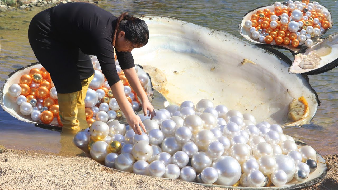 This centuries-old pearl oyster has unique pearl-making abilities - YouTube