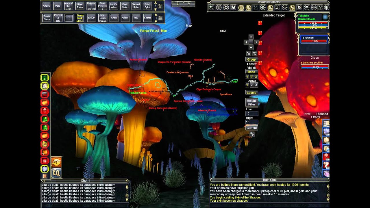 Everquest Fungal Forest Zone Tour - YouTube