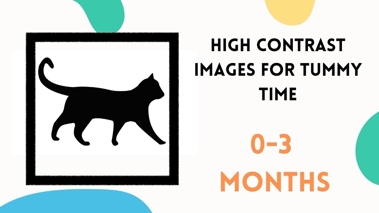Black & White | High Contrast Images | Tummy Time for Babies | Visual ...