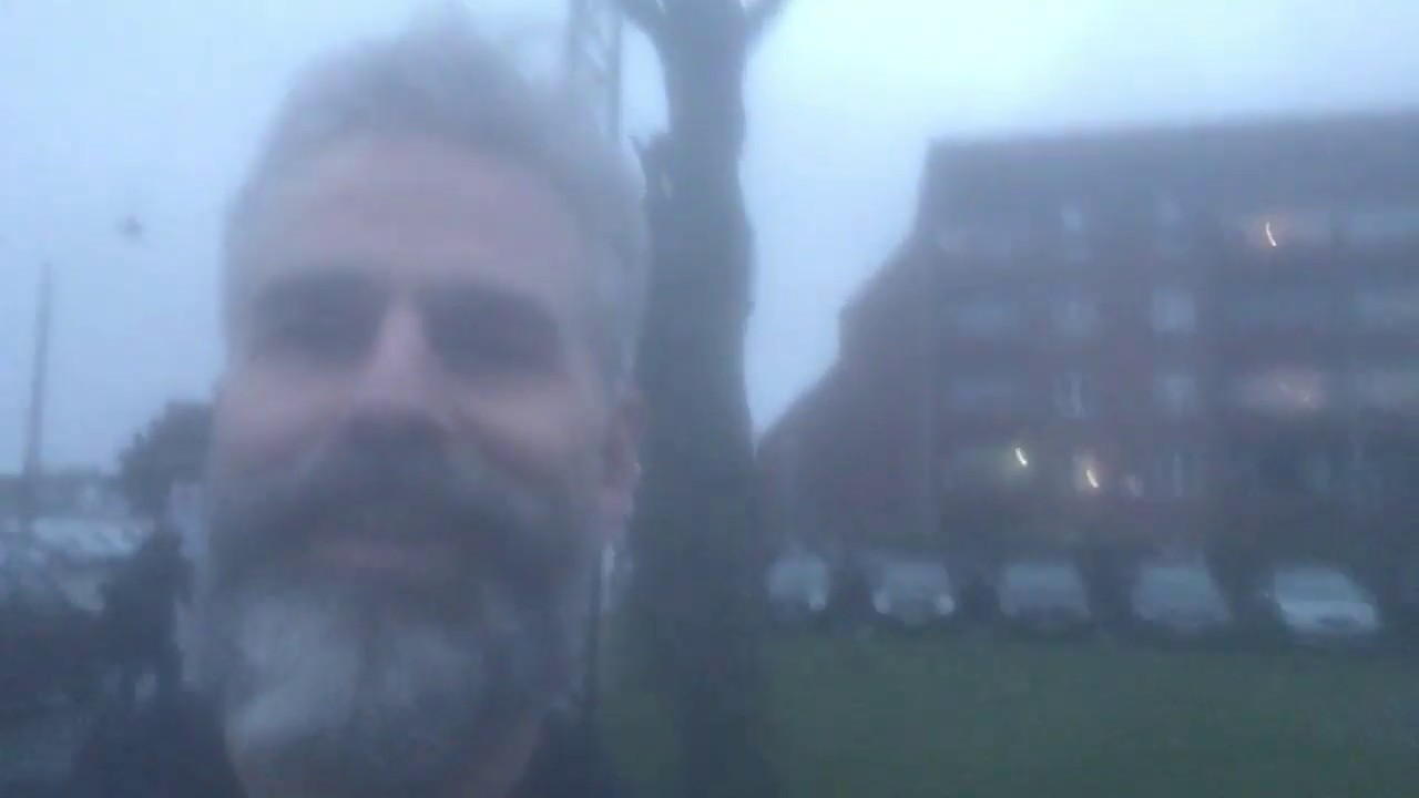 Flemming Blicher: Træer fælles på grund af 5G opsætningen. - YouTube