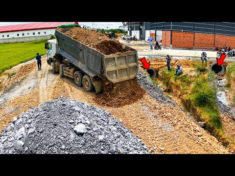 Start New Project !! working Dump Truck 25 5Ton, Dozer Shantui Push Stone Near Road.