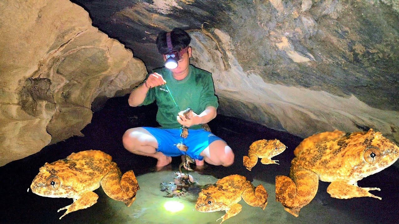 skills, catching frogs in caves, survival camping & Bushcraft | wild ...