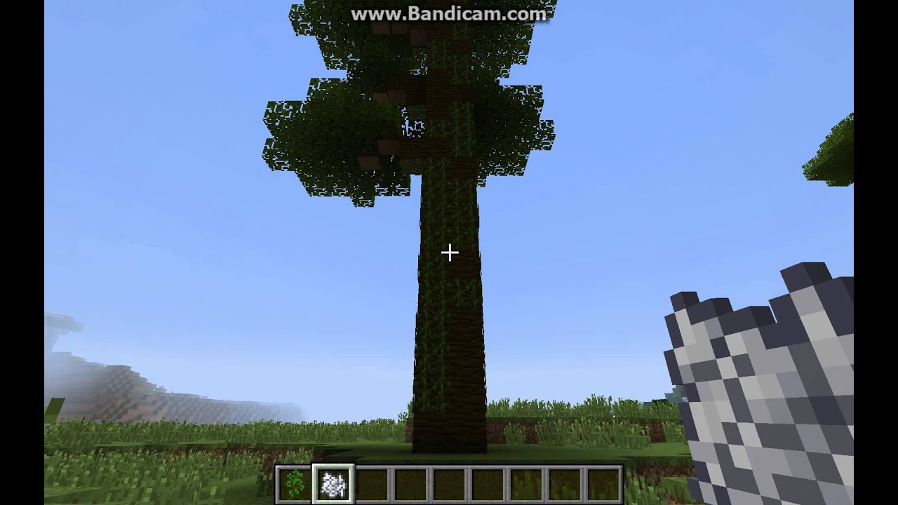 How To Make A Giant Jungle Tree In Minecraft YouTube how-to-make-a-giant-jungle-tree-in-minecraft-youtube
