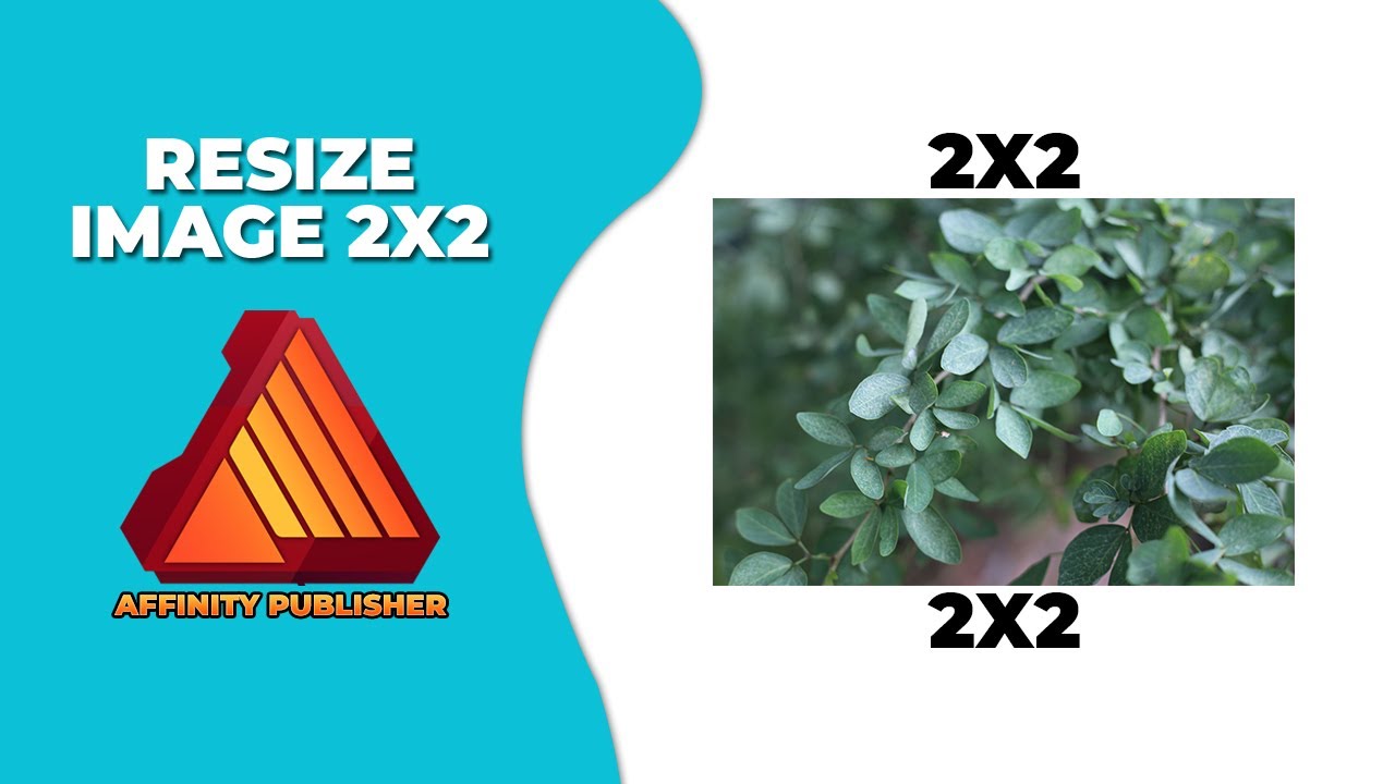 How to resize image in affinity publisher 2x2 - YouTube