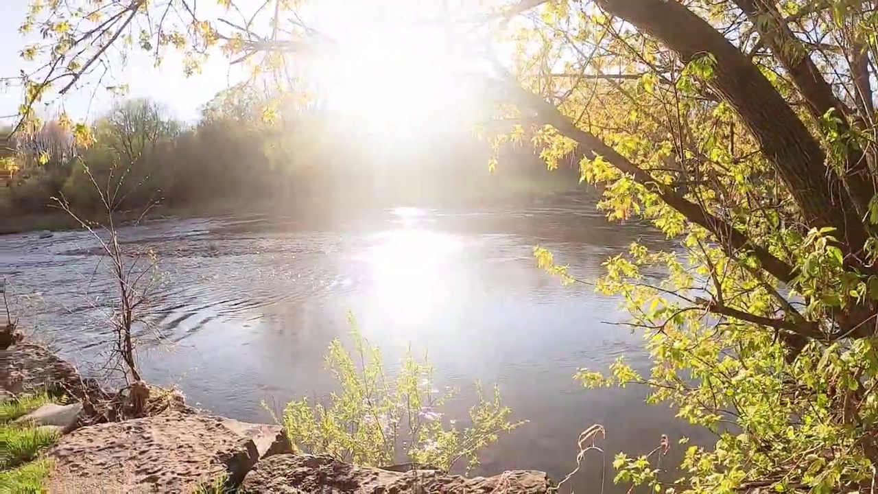 Erindale Park Mississauga Ontario - YouTube