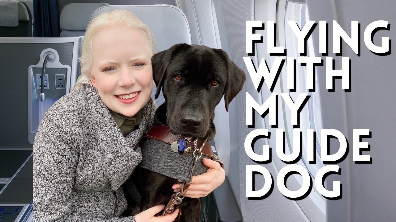 How I Fly With My Guide Dog - YouTube