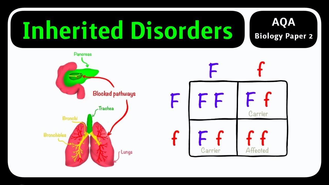 GCSE Biology AQA - Inherited Disorders | Genetic Conditions Explained ...