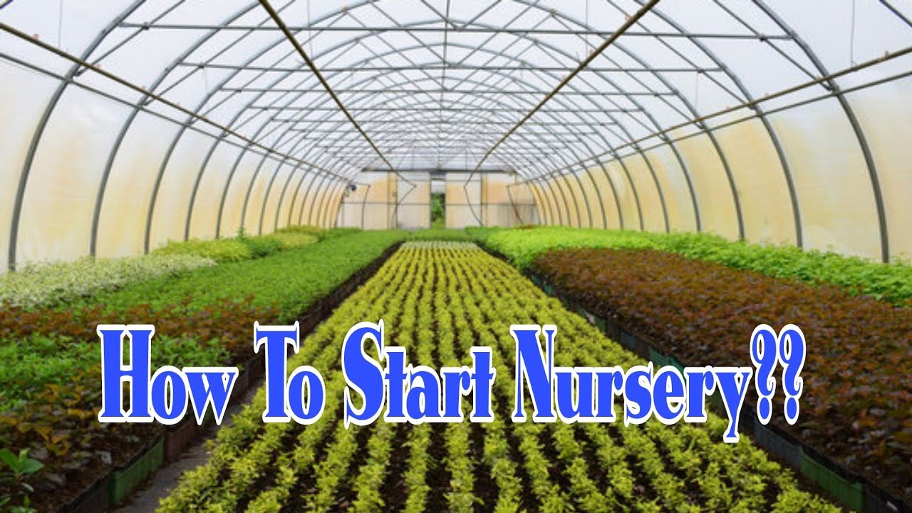 How To Start Nursery Puli Cet Leka Bon Benao Dareaka Sagenen Murmu Vlogs YouTube how-to-start-nursery-puli-cet-leka-bon-benao-dareaka-sagenen-murmu-vlogs-youtube