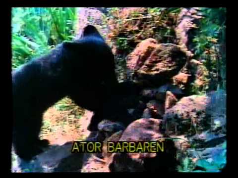 Joe D'Amato's Ator - The Fighting Eagle (Ator l'Invincibile) [Danish trailer]