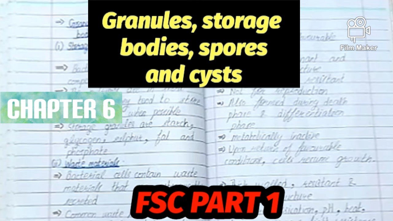 Spores and Cysts| Granules and storage bodies| Biology class 11 chapter ...