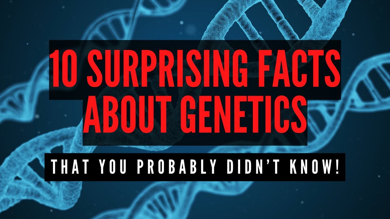 10 Facts About Genetics That You Probably Didn’t Know! - YouTube
