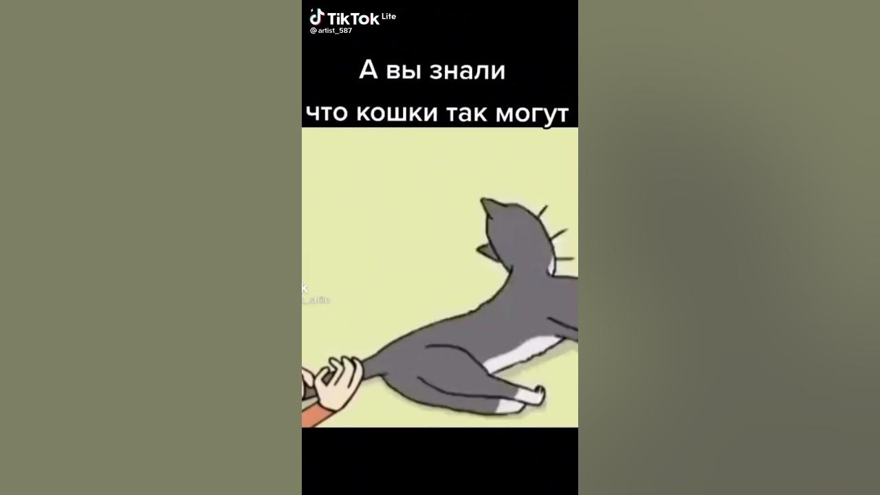 Супер кошки - YouTube