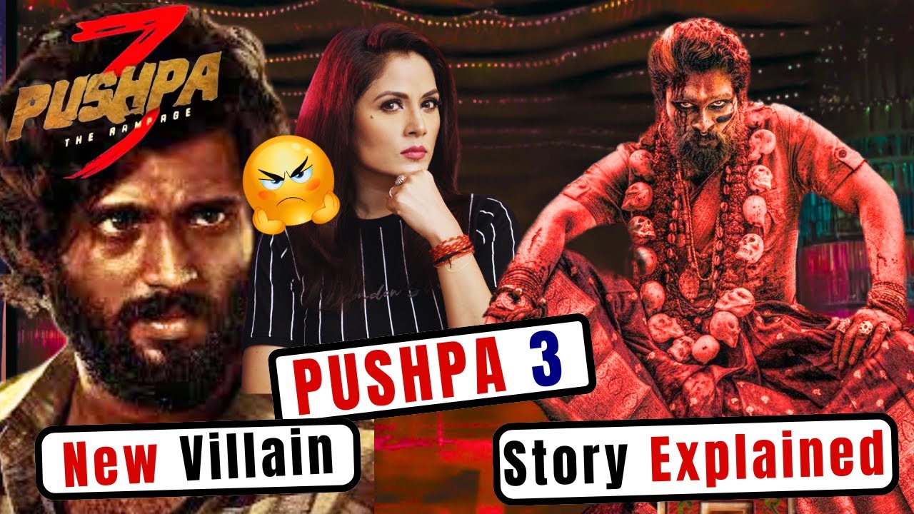 Pushpa 2 Ending & New Villain Revealed | Pushpa 3 Story Explained | Oh ...