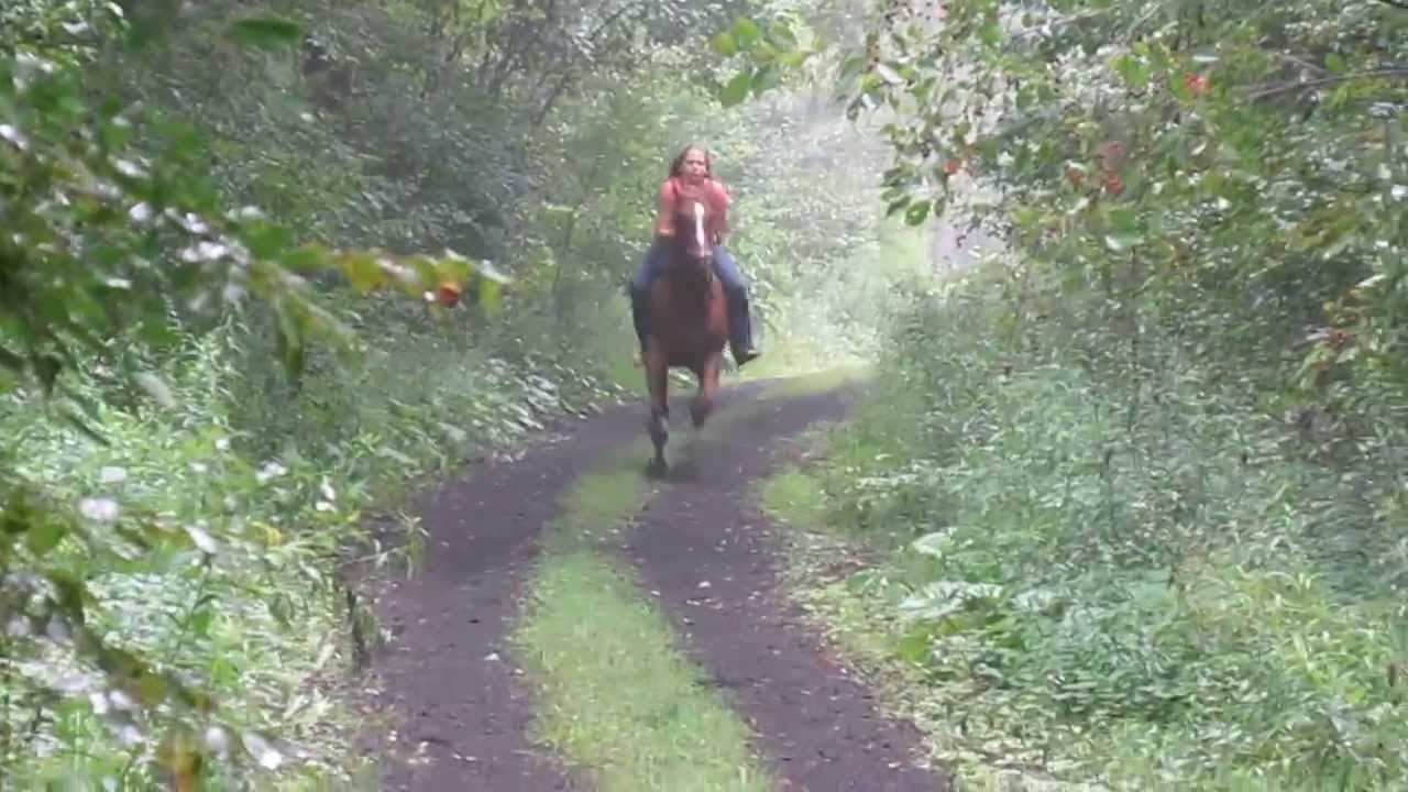Galloping full speed bareback - YouTube
