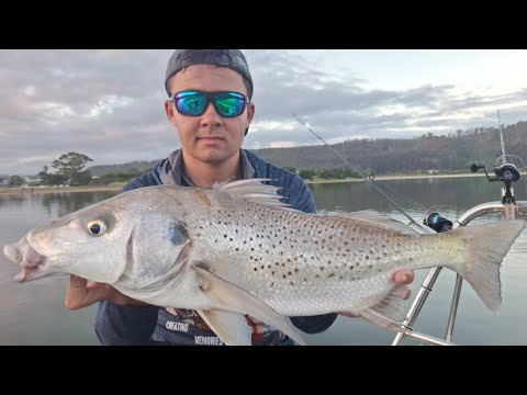 Big Grunter Fishing with The Outdoor Man - YouTube