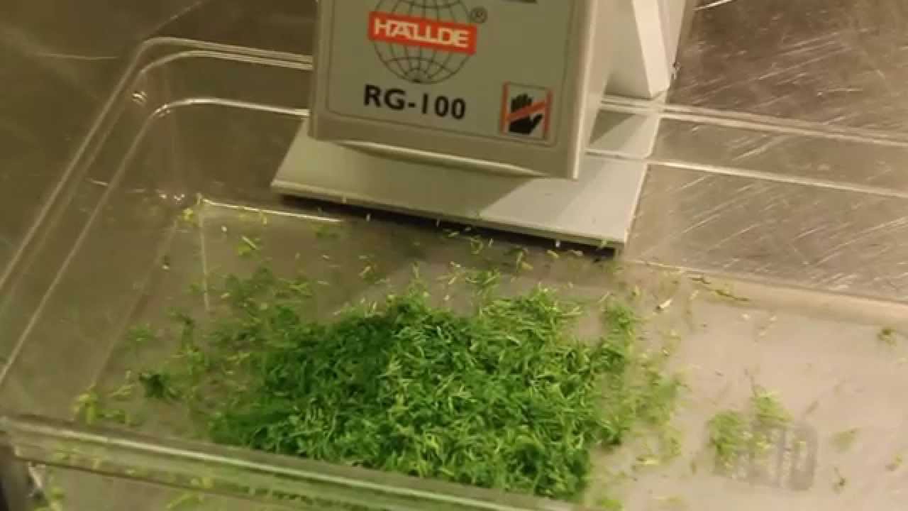 Hallde RG-100 | Нарезка укропа - YouTube