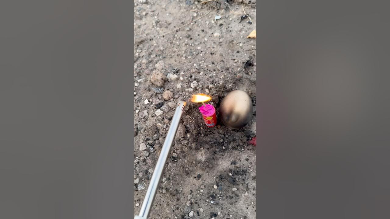 EXPERIMENT MERCON DISKO VS TELUR!!! Lihat Reaksinya #mercon #petasan #shorts #experiment - YouTube