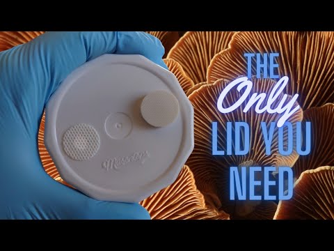 THE ONLY LID YOU NEED, Plus Helpful Hacks - YouTube