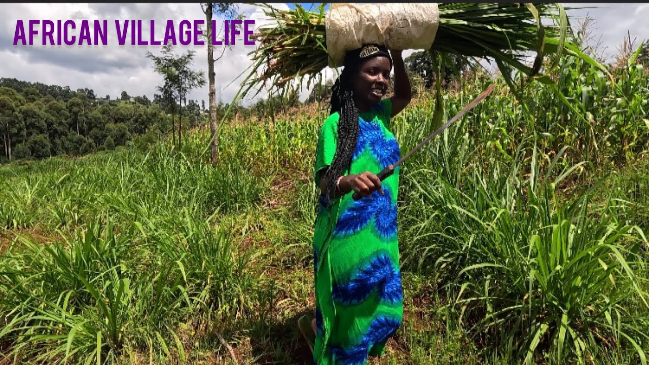 African Village Morning Routine Youtube