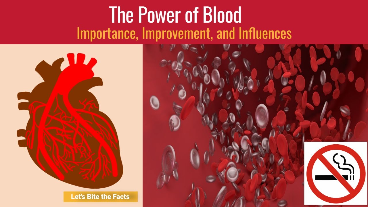 The Power of Blood: Importance, Improvement, and Influences | Let's ...