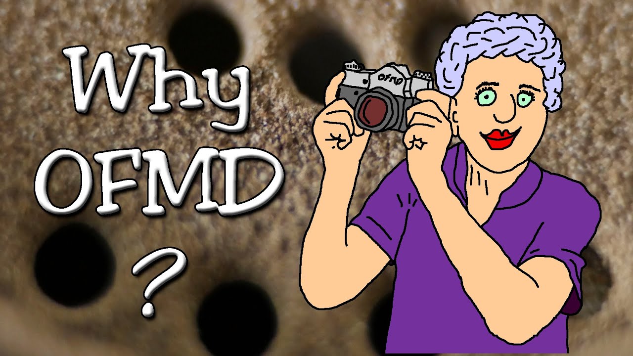 Why I started OFMD - and what’s behind Our Favourite Movie Director ...