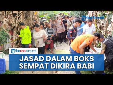 Kronologi Penemuan Mayat Wanita Tanpa Busana dalam Boks di Ladang Pisang, Sempat Dikira Babi