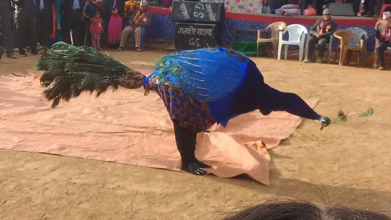 mayur dance - YouTube