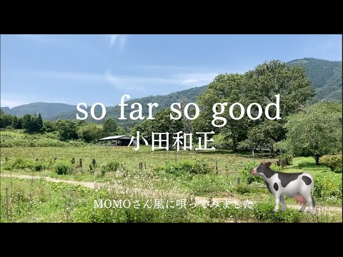 【so far so good/小田和正】MOMO 歌詞付き - YouTube