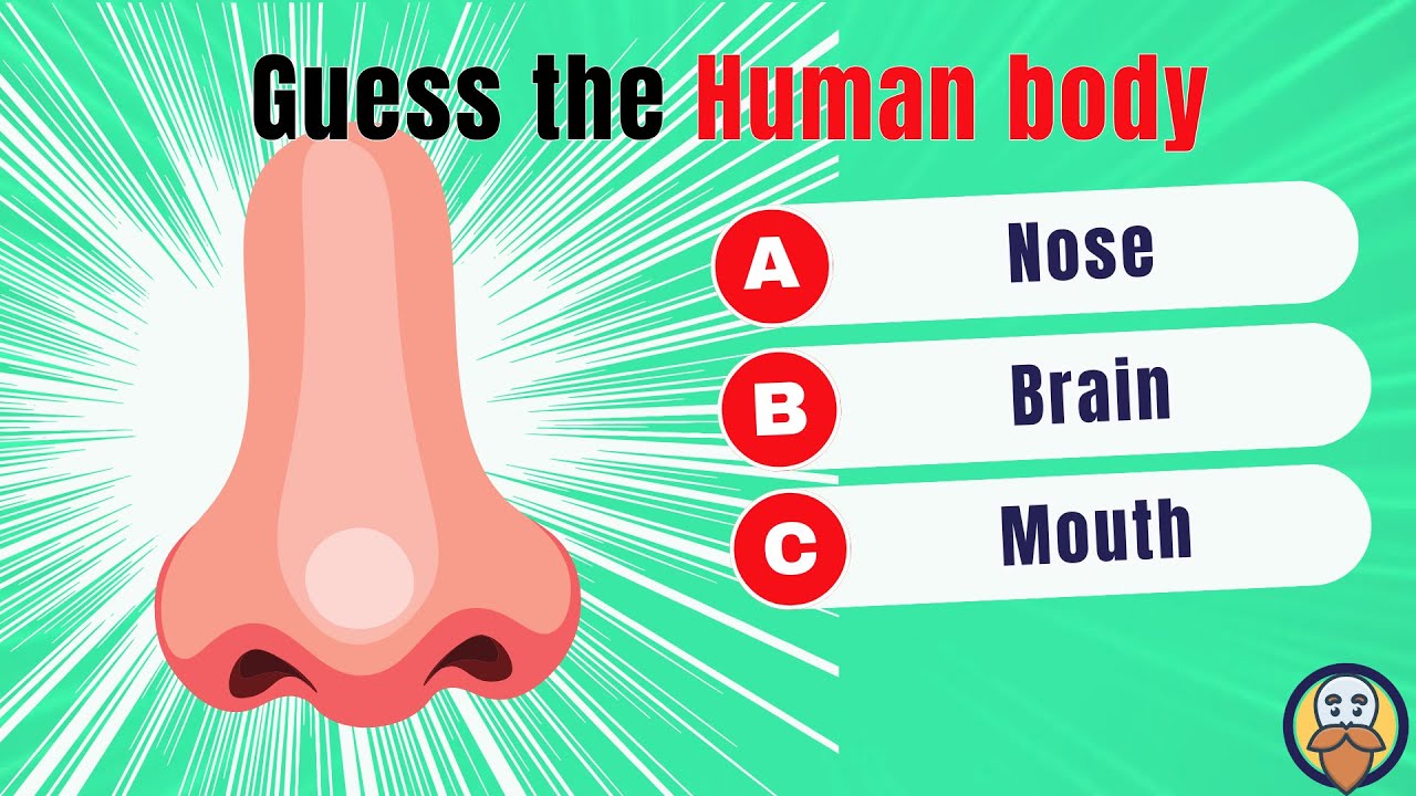 How Many Human Body do You know ? 🧠🦴🦵 | General Knowledge test - YouTube