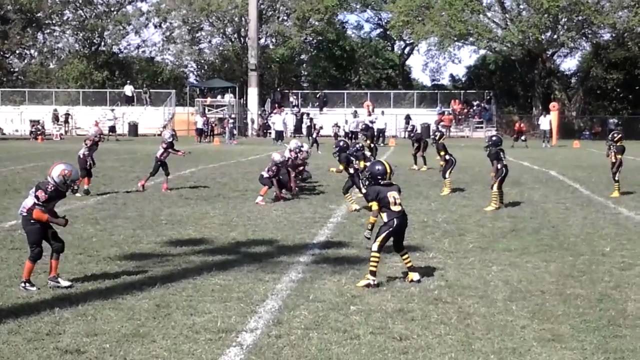 Bulldogs Vs Buccaneers - YouTube