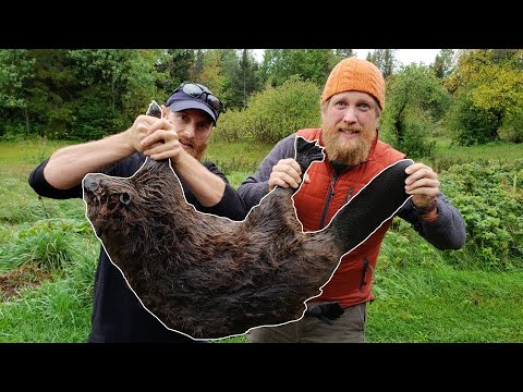 Crazy WILD BEAVER Catch and Cook in Survival Challenge! - YouTube