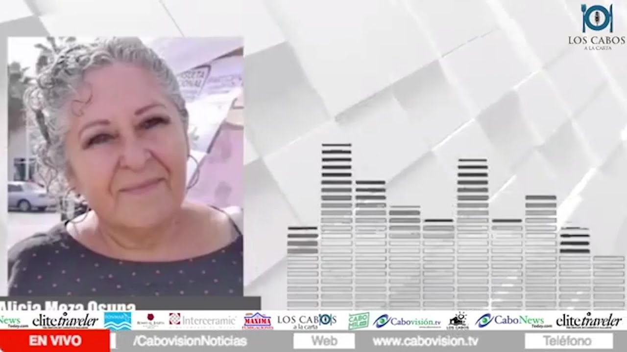Entrevista en video con Alicia Meza Osuna secretaria de Educación ...