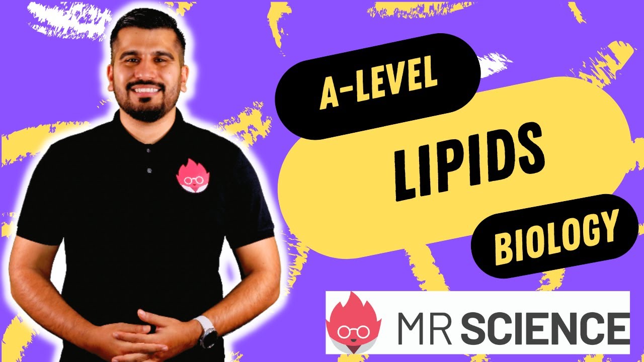 Classification of Lipids | Biochemistry | A level Biology in 8K | Mr ...