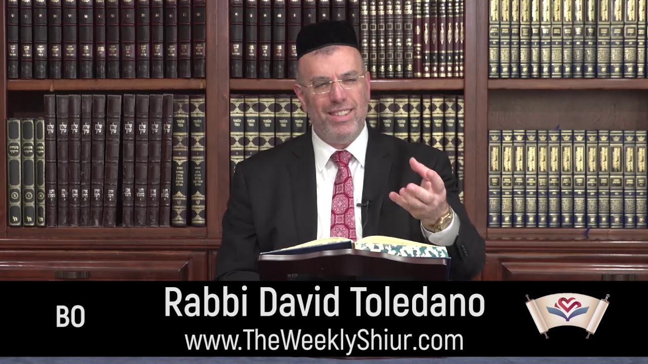 Rabbi David Toledano - BO THE WEEKLY SHIUR www.TheWeeklyShiur.com - YouTube