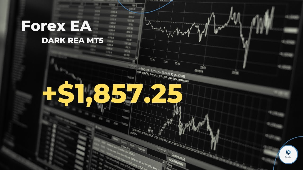 Free Forex EA Dark Rea mt5 | Impulse Trading Strategy - YouTube