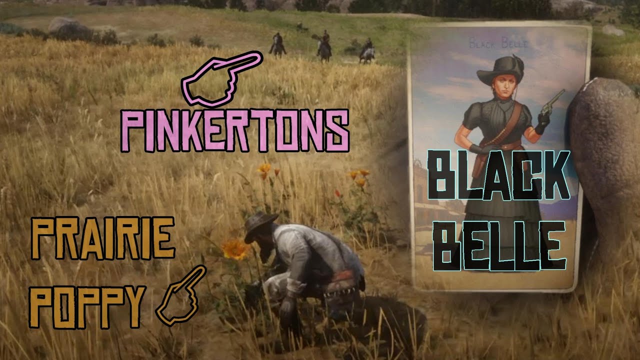 Arthur Gets Prairie Poppy and Black Belle Cigarette Card in Blackwater ...