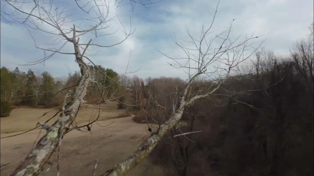 1 fall day - YouTube