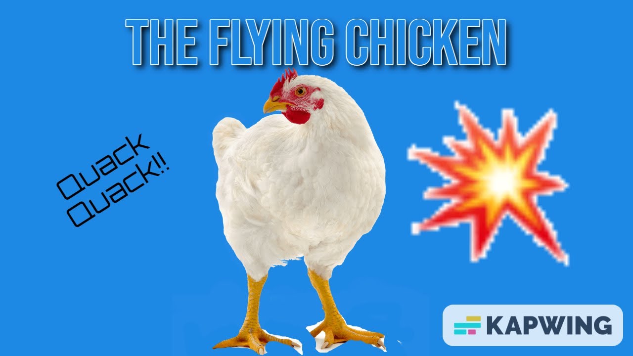 The Flying Chicken part 5 - YouTube