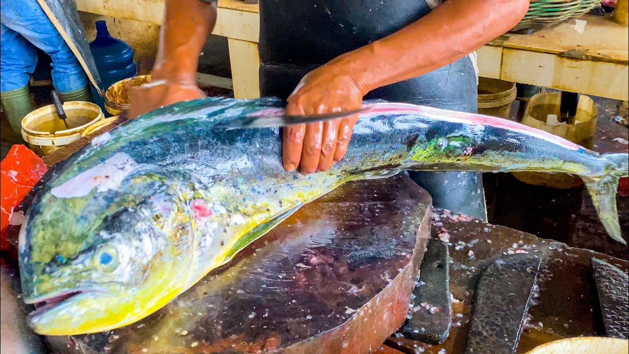 HOW TO FILLET AND SLICING A MAHI MAHI FISH || EXPERT FISH CUTTING IN ...