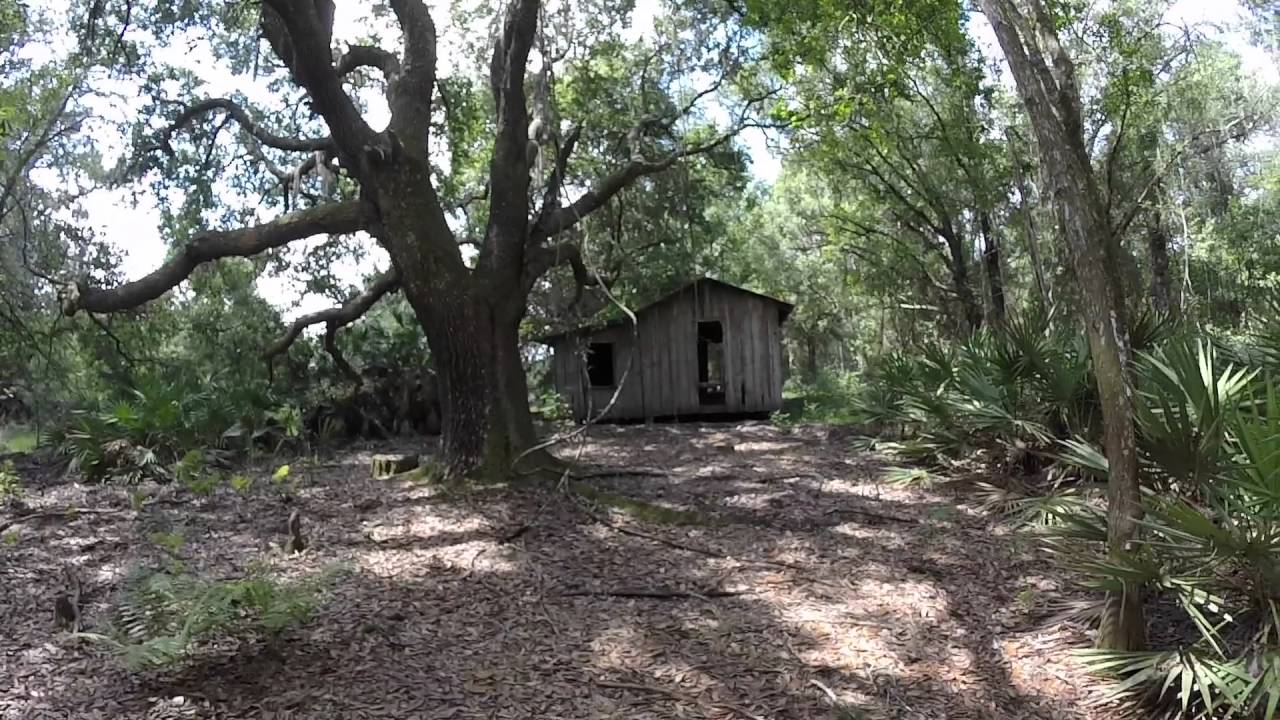 Abandoned Cabin in The Green Swamp - YouTube