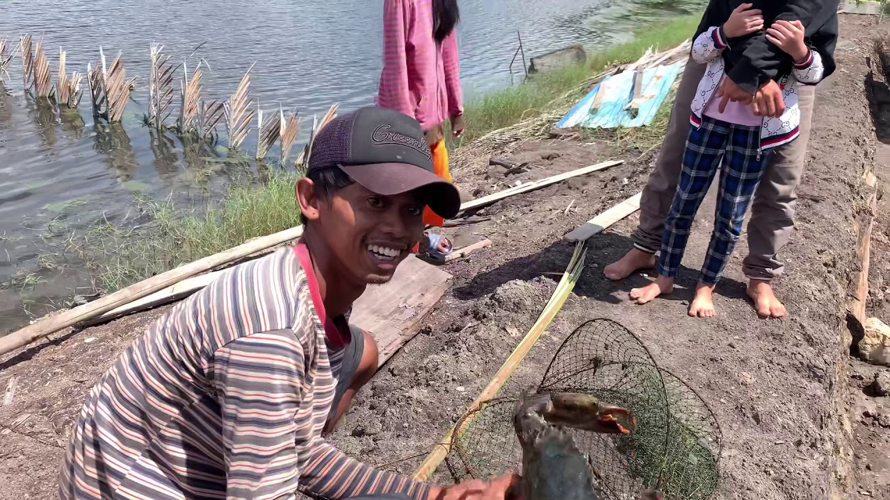 PASANG JEBAKAN KEPITING DAPAT MONSTER KEPITING 😱 - YouTube